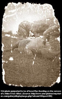 CRYPTOZOOLOGY ONLINE: Still on the Track: RICHARD FREEMAN: The Second ...